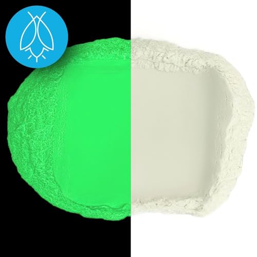 Glow in The Dark Pigment Powder - Neutral and Fluorescent Color for Art Painting, Fine Art, Nail Art Paint, and DIY Crafts - Long Lasting 10+ Color Options - Neutral Green - (1 Ounce)