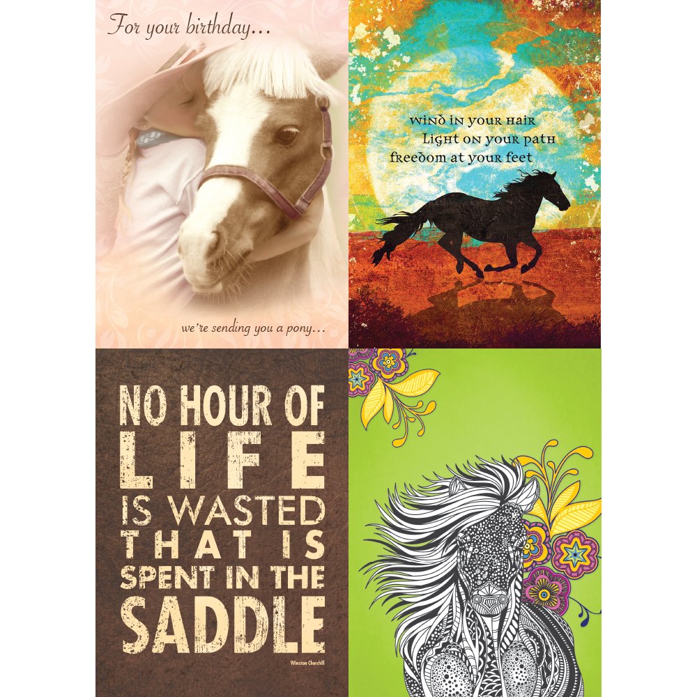 Tree-Free Greetings - Birthday Cards - Artful Designs - 8 Assorted Cards + Matching Envelopes - Made in USA - 100% Recycled Paper - 5 x 7 - Horse Love (GA31594)