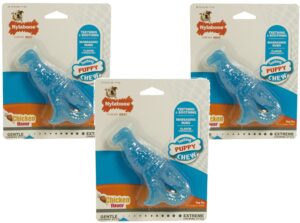 nylabone 3 pack of puppy t-rex chicken flavored teething chew toy, dogs up to 25 pounds