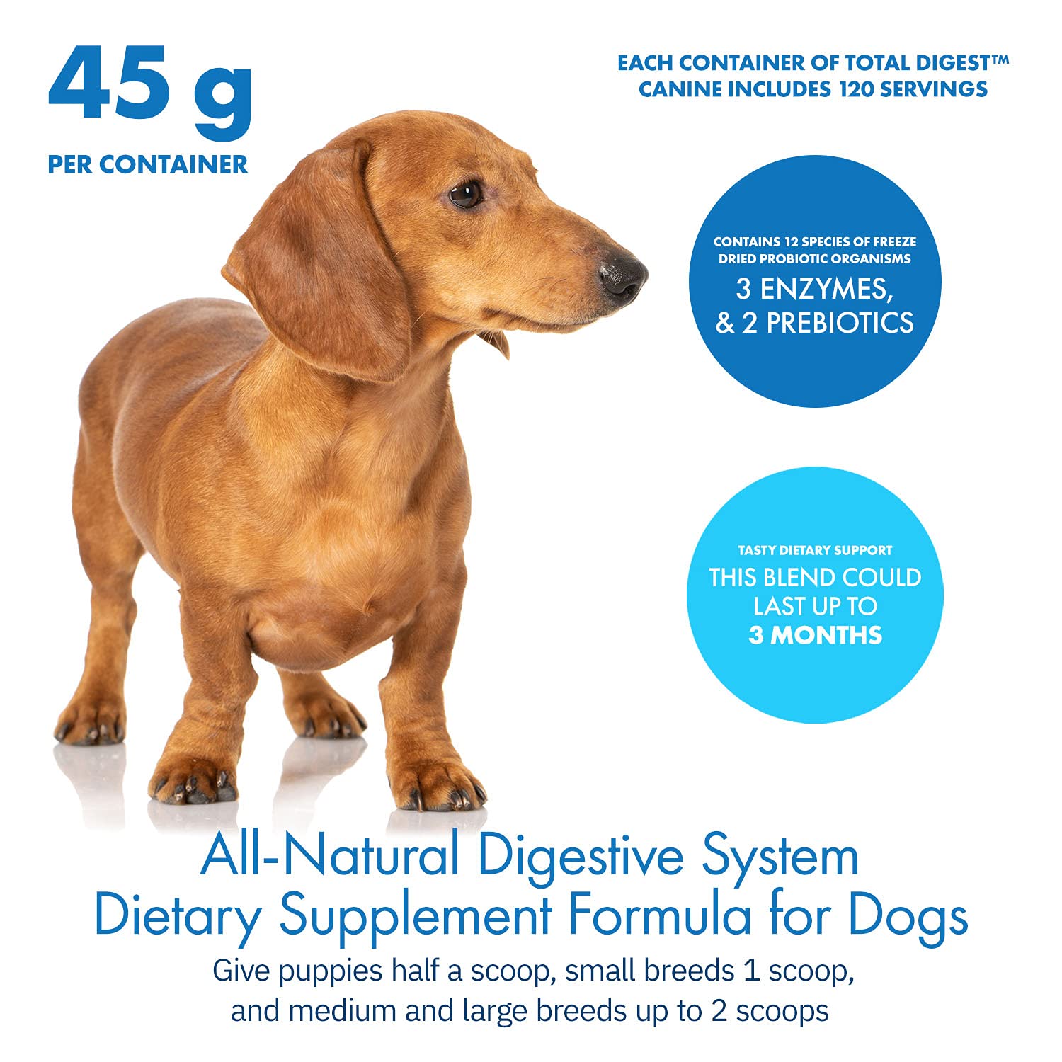 Total Digest™ Canine Probiotics and Enzymes for Dogs, All-Natural Digestive System Dietary Supplement Formula for Dogs (120 Days)