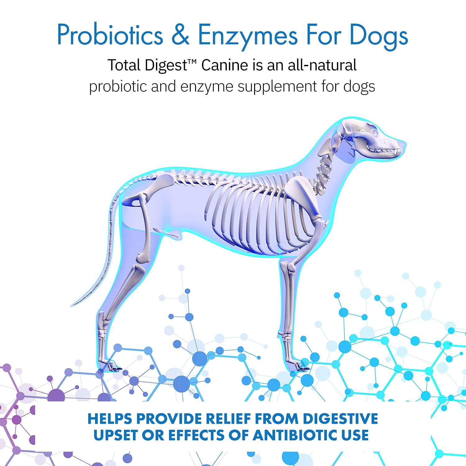 Total Digest™ Canine Probiotics and Enzymes for Dogs, All-Natural Digestive System Dietary Supplement Formula for Dogs (120 Days)