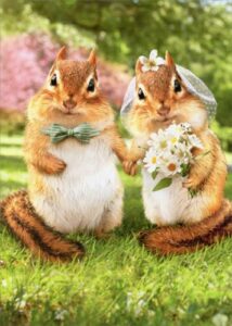 chipmunk bride and groom - avanti funny wedding card