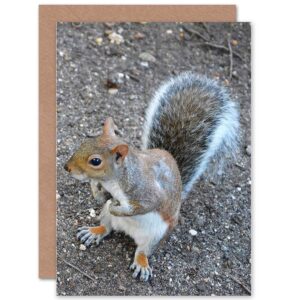 wee blue coo card greeting birthday little squirrel gift