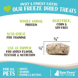 Raw Paws Freeze-Dried Green Beef Tripe for Dogs & Cats, 8-oz - Made in USA - Raw Freeze Dried Dog Treats - Free-Range Cows - Grain & Wheat Free Beef Green Tripe Cat Treats - Raw Tripe Treats for Dogs