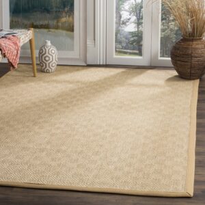 safavieh natural fiber collection area rug - 8' x 10', natural & beige, border sisal design, easy care, ideal for high traffic areas in living room, bedroom (nf151b)