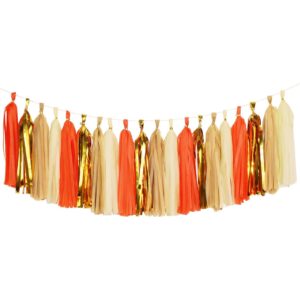 aonor tassel garland, tissue paper tassels banner for graduation party decorations, thanksgiving, first birthday party decorations, 20 pcs diy kits (orange+metallic gold+tan+ivory)