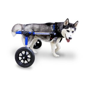 walkin' wheels dog wheelchair - for med/large dogs 50-69 lbs - veterinarian approved - dog wheelchair for back legs