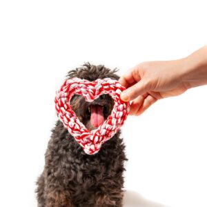 Midlee Valentine's Heart Rope Dog Toy (6" x 6")- Pink, Red, White Cotton Chew Gift