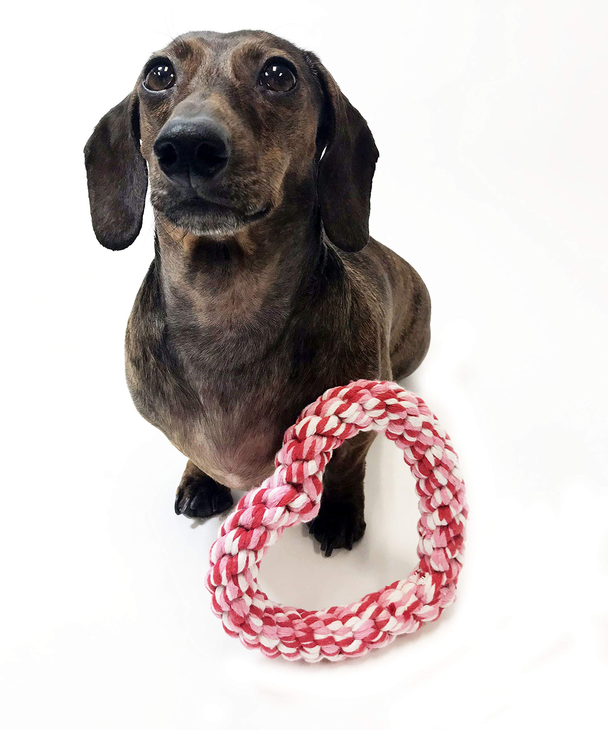 Midlee Valentine's Heart Rope Dog Toy (6" x 6")- Pink, Red, White Cotton Chew Gift