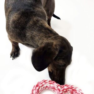 Midlee Valentine's Heart Rope Dog Toy (6" x 6")- Pink, Red, White Cotton Chew Gift