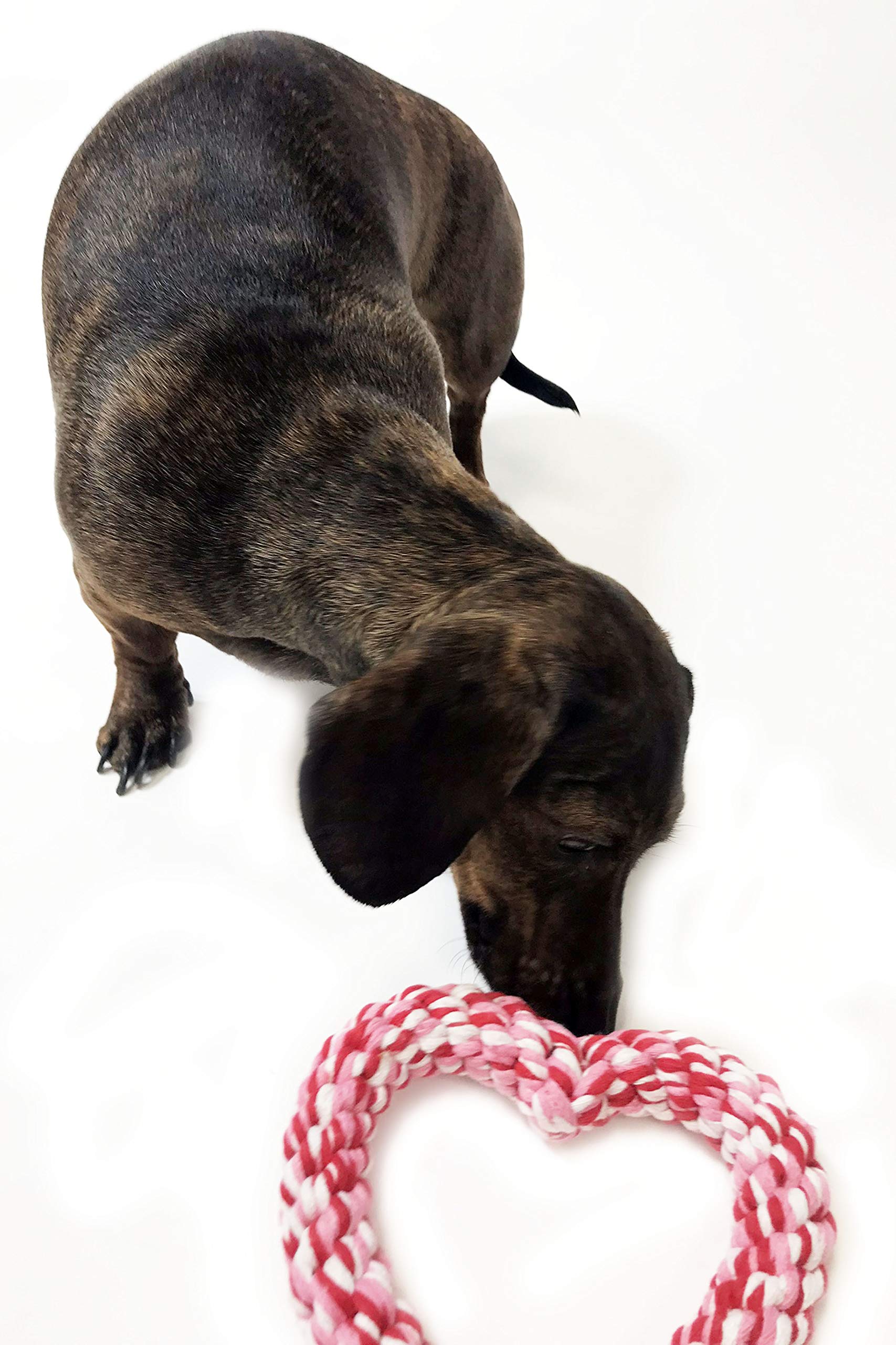 Midlee Valentine's Heart Rope Dog Toy (6" x 6")- Pink, Red, White Cotton Chew Gift