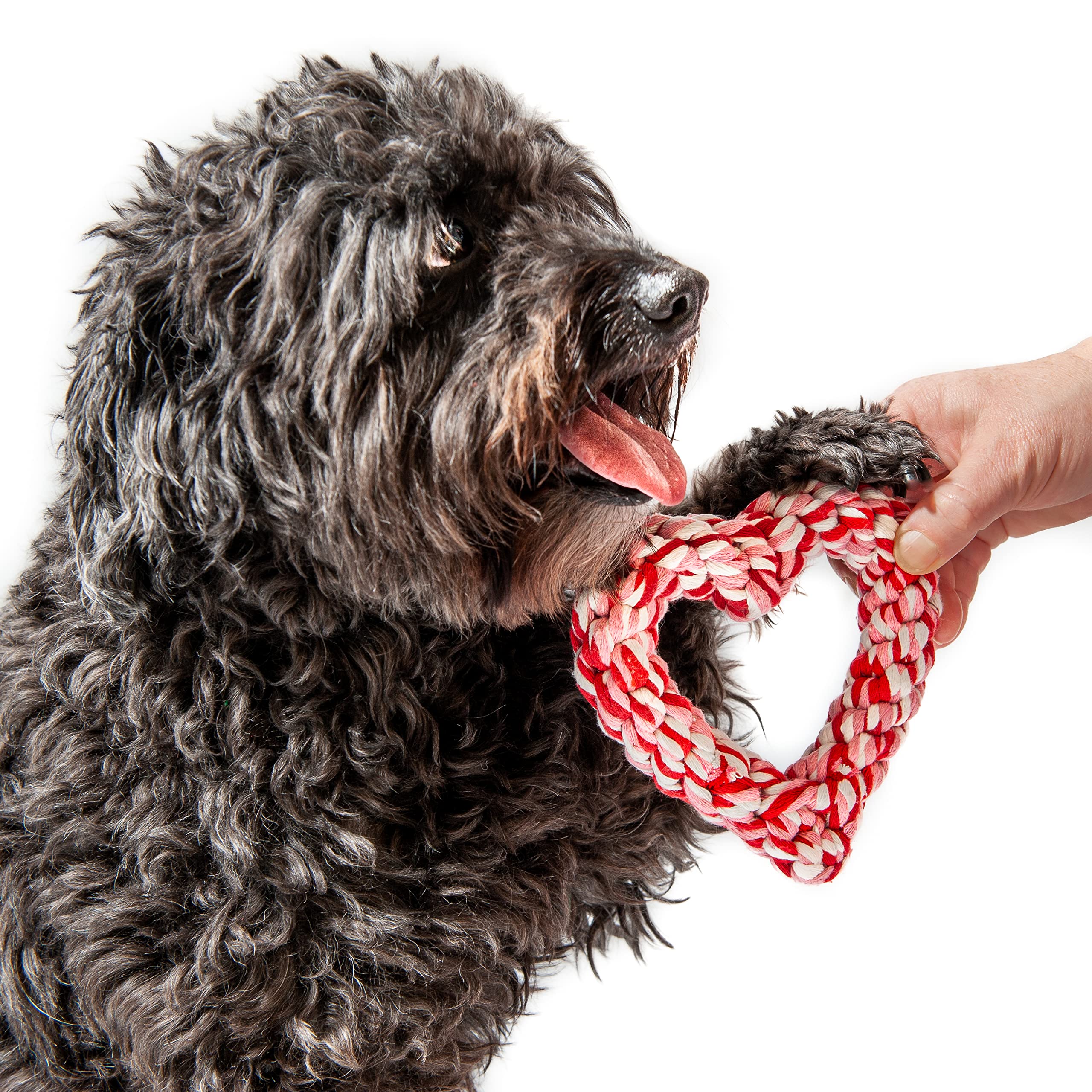 Midlee Valentine's Heart Rope Dog Toy (6" x 6")- Pink, Red, White Cotton Chew Gift