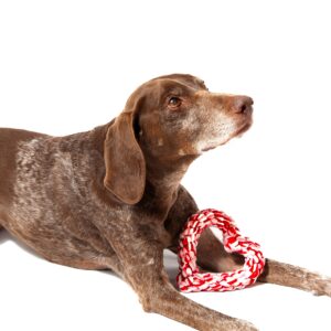 Midlee Valentine's Heart Rope Dog Toy (6" x 6")- Pink, Red, White Cotton Chew Gift