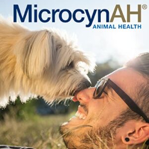 MicrocynAH Anti-Itch Spray Gel with Moisturizing Dimethicone for Dogs| Non-Toxic Spray Formulated to Sooth | Veterinarian Recommeneded Non-Toxic Formula | 8oz