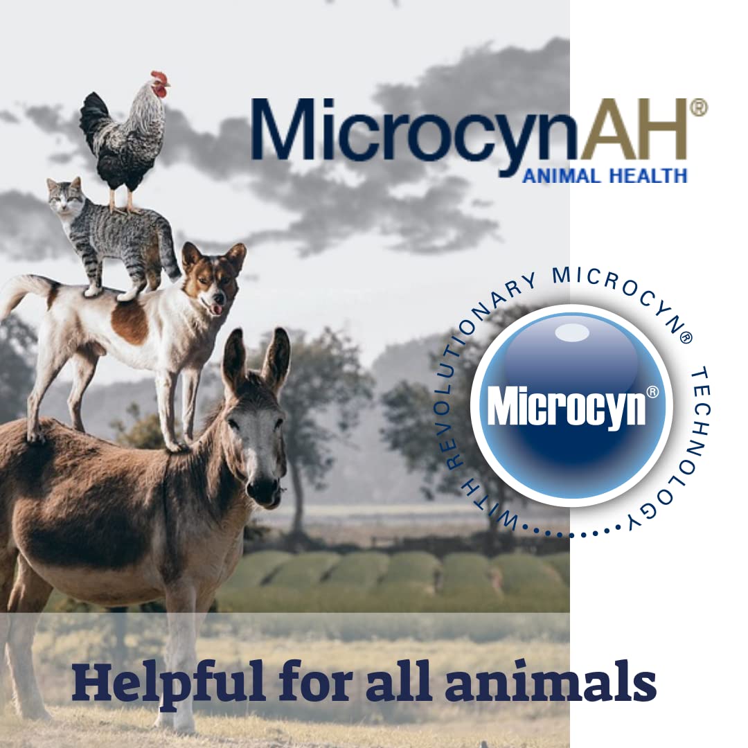 MicrocynAH Anti-Itch Spray Gel with Moisturizing Dimethicone for Dogs| Non-Toxic Spray Formulated to Sooth | Veterinarian Recommeneded Non-Toxic Formula | 8oz