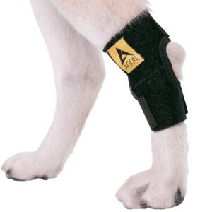 agon® dog leg braces for back leg wrap hock compression protects wounds and helps heal hind legs rear ankle joint, preventing injuries, sprains providing stability for dogs, canines arthritis (medium)