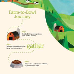 GATHER Endless Valley, Plant-Based, Grain-Free Dry Dog Food, Vegan Adult Recipe with Non-GMO Ingredients, 16 lb Bag