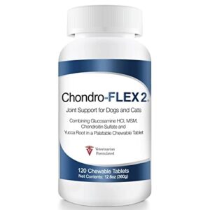 healthypets chondro flex ii - powerful joint care formula dogs and cats - maximum nutritional support - glucosamine, chondroitin, msm, ester-c, and minerals - 120 chewable tablets