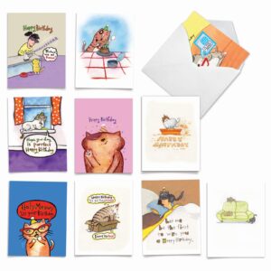 the best card company - 10 cute birthday note cards with envelopes (4 x 5.12 inch) - pets and animal notecards, boxed assortment - kitty birthday m3791bdg-b1x10