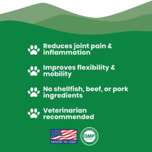 All-Natural Joint Pain Relief for Dogs - Vegetarian Glucosamine Without Shellfish - Msm Supplement for Pain - Vet Recommended Glucosamine Vegetarian - Arthritis Medicine & Glucosamine with Msm (32 oz)