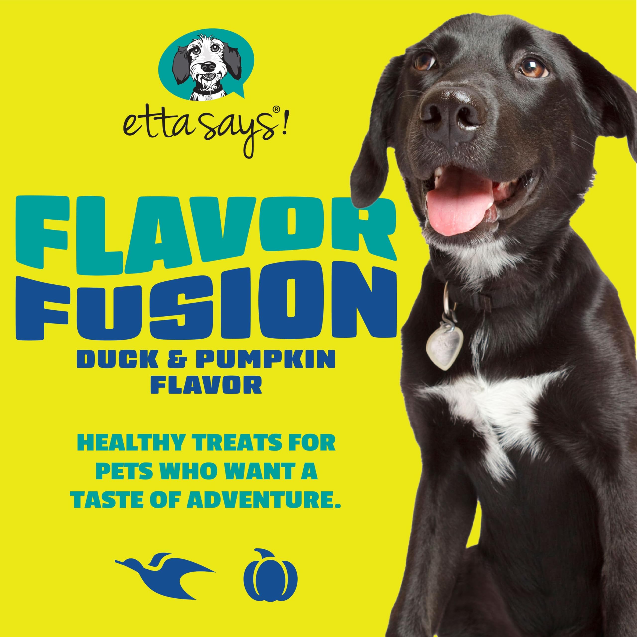 etta says! Flavor Fusion - All Natural Rawhide Free Chews for Dogs 2oz Chew - Duck and Pumpkin - Made in The USA (12 Count Pack of 1)