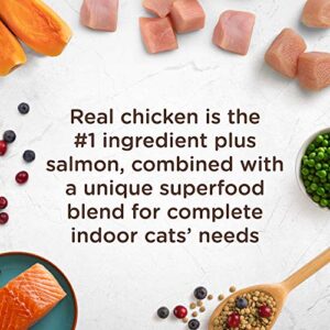 Nutrish Rachael Ray Indoor Complete Premium Natural Dry Cat Food with Added Vitamins, Minerals & Other Nutrients, Chicken with Lentils & Salmon Recipe, 6 Pounds (Packaging May Vary)