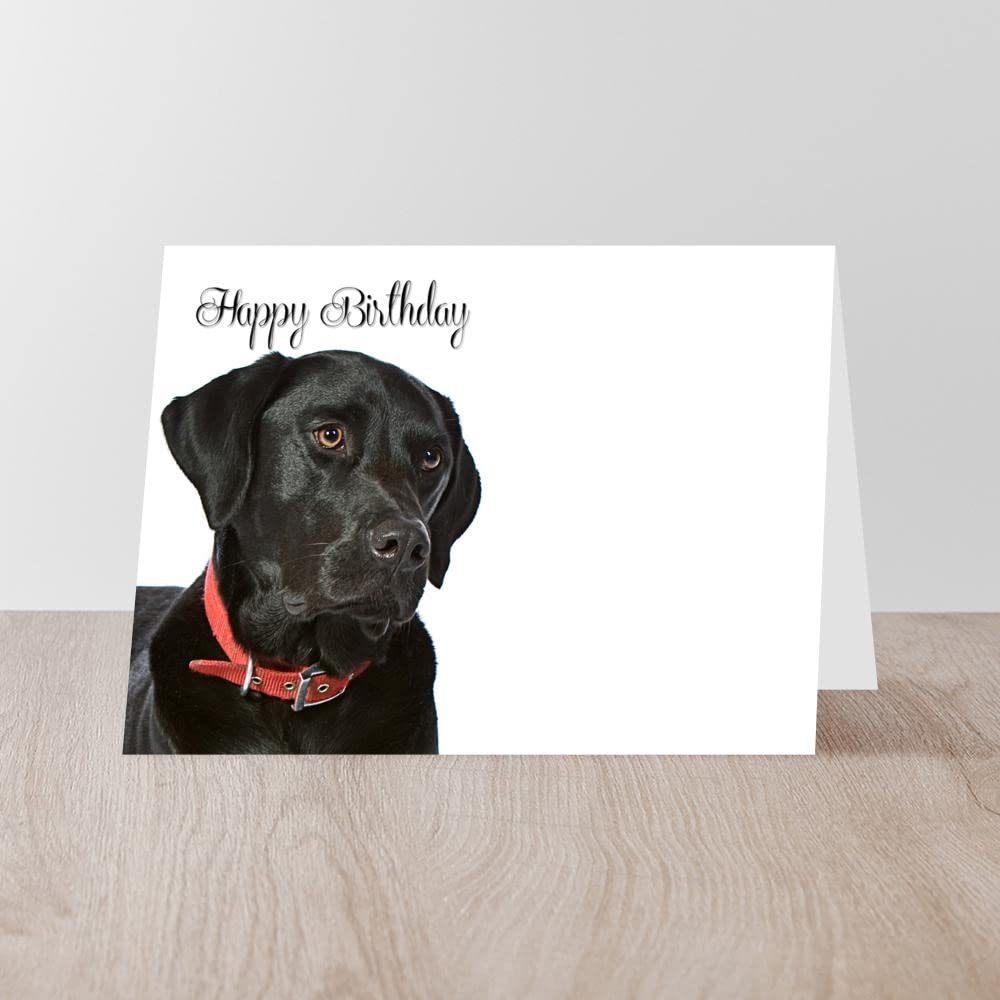 CafePress Black Lab Birthday Card Folded Greeting Card Matte