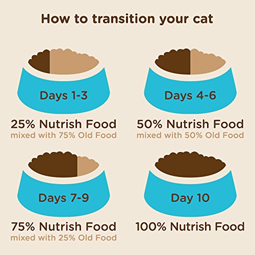 Nutrish Rachael Ray Indoor Complete Premium Natural Dry Cat Food with Added Vitamins, Minerals & Other Nutrients, Chicken with Lentils & Salmon Recipe, 6 Pounds (Packaging May Vary)