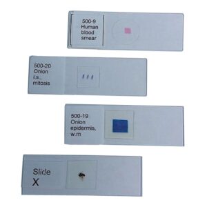 united scientific supplies 100-02 "cork section" prepared microscope slide