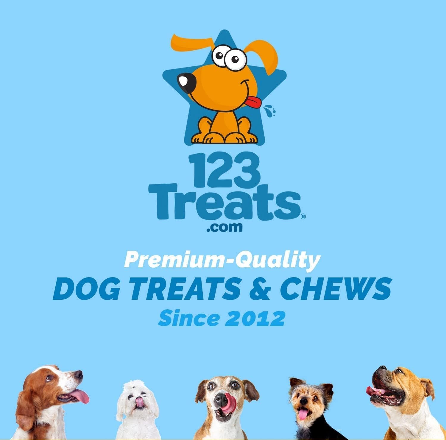 123 Treats Pig Ears for Dogs – 100% Natural Long Lasting Pork Dog Chews with Delicious Dog Chew Treat, Ideal for All Chewers, Healthy Large Pig Ears (One Pack of 30)