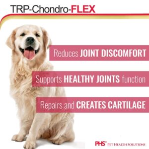 HealthyPets PHS TRP-Chondro-Flex Joint Support Supplement for Dogs - Glucosamine, MSM, Chondroitin - Hip and Joint Pain Relief and Support - Made in USA - 120 Soft Chews