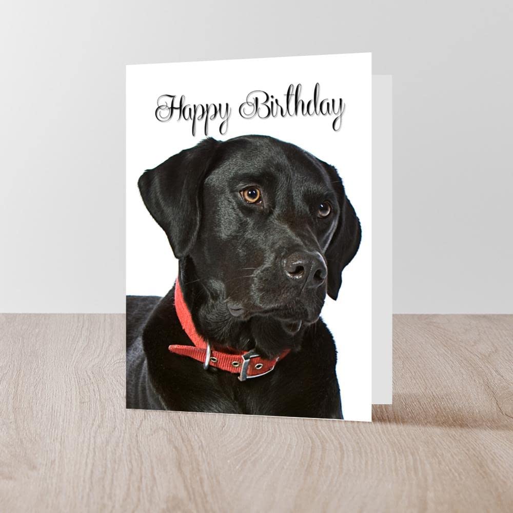 CafePress Black Lab Birthday Card Folded Greeting Card Matte