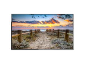 nec e556, 55" led commercial display with atsc/ntsc tuner