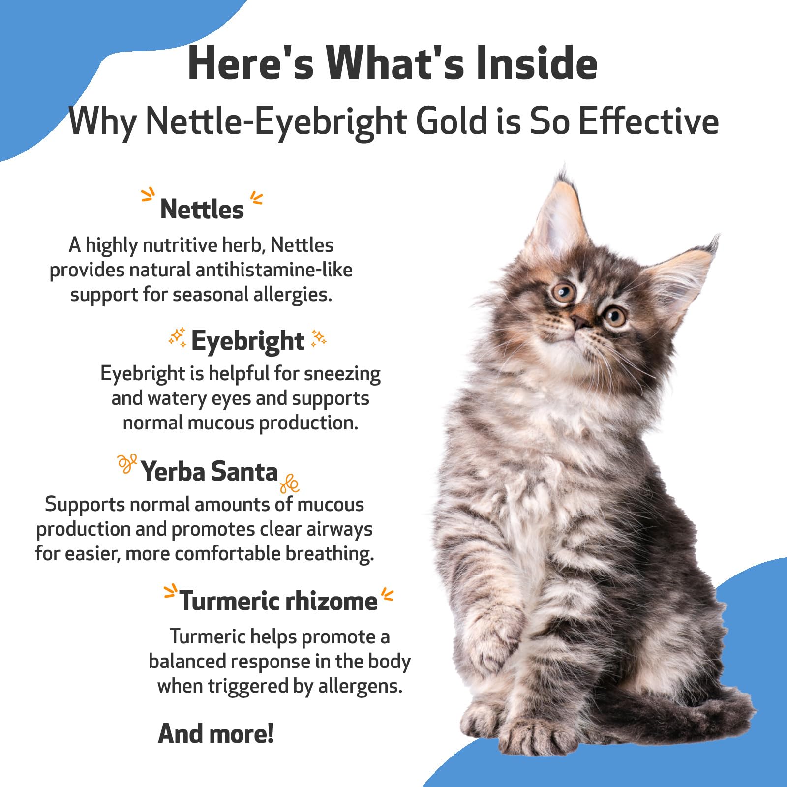 Pet Wellbeing Nettle-Eyebright Gold for Cats - Vet-Formulated - Seasonal Allergies, Hay Fever, Allergic Rhinitis - Natural Herbal Supplement 2 oz (59 ml)