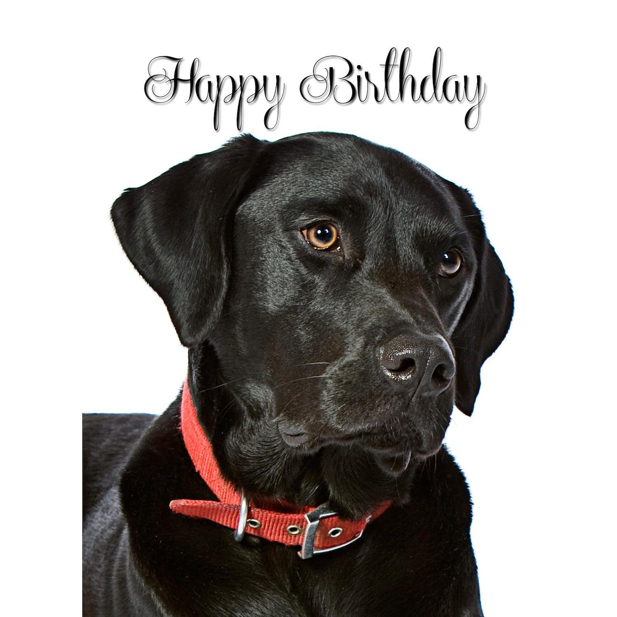 CafePress Black Lab Birthday Card Folded Greeting Card Matte