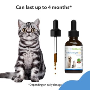 Pet Wellbeing Nettle-Eyebright Gold for Cats - Vet-Formulated - Seasonal Allergies, Hay Fever, Allergic Rhinitis - Natural Herbal Supplement 2 oz (59 ml)