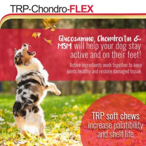 HealthyPets PHS TRP-Chondro-Flex Joint Support Supplement for Dogs - Glucosamine, MSM, Chondroitin - Hip and Joint Pain Relief and Support - Made in USA - 120 Soft Chews