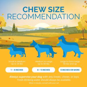 123 Treats Pig Ears for Dogs – 100% Natural Long Lasting Pork Dog Chews with Delicious Dog Chew Treat, Ideal for All Chewers, Healthy Large Pig Ears (One Pack of 30)