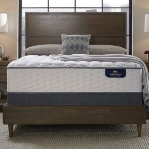 serta perfect sleeper elite luxury firm 700 innerspring mattress, queen