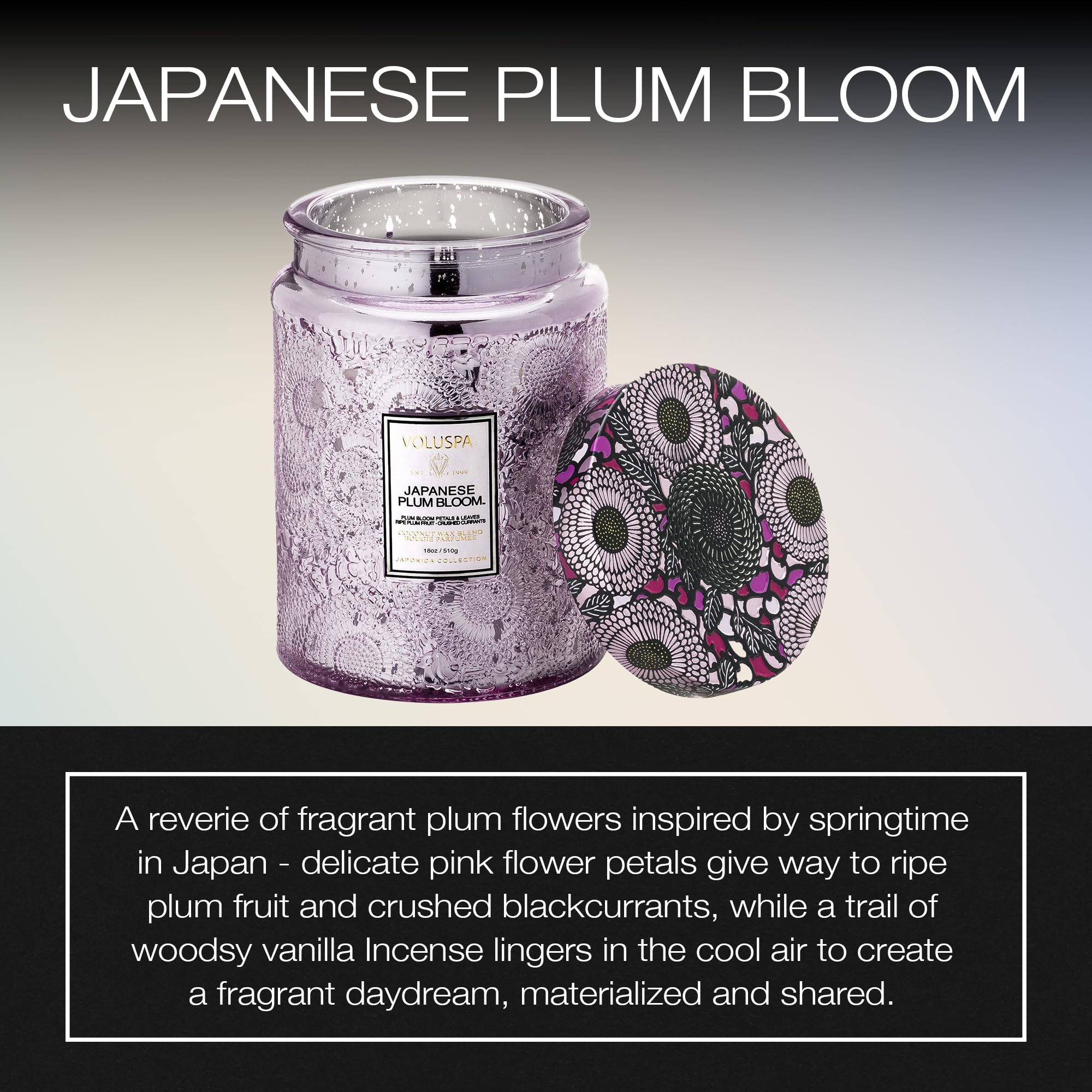 Voluspa Japanese Plum Bloom, Large Candle Jar, 18 oz, 100 Hour Burn Time, All Natural Wicks and Coconut Wax for Clean Burning, Vegan, Poured in the USA