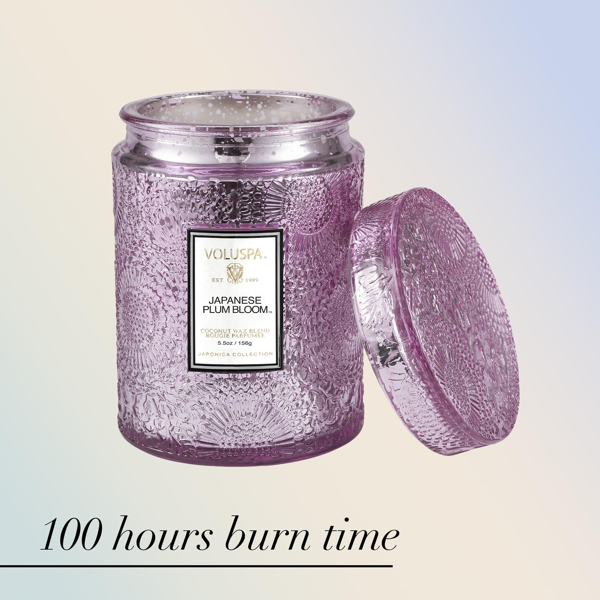 Voluspa Japanese Plum Bloom, Large Candle Jar, 18 oz, 100 Hour Burn Time, All Natural Wicks and Coconut Wax for Clean Burning, Vegan, Poured in the USA