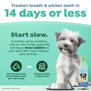 TropiClean Fresh Breath Advanced Whitening with 3D MICROGUARD | Dog Breath Water Additive | Dental Care | Dog Breath Freshener | Simple Pet Teeth Cleaning | Made in USA | 16 oz