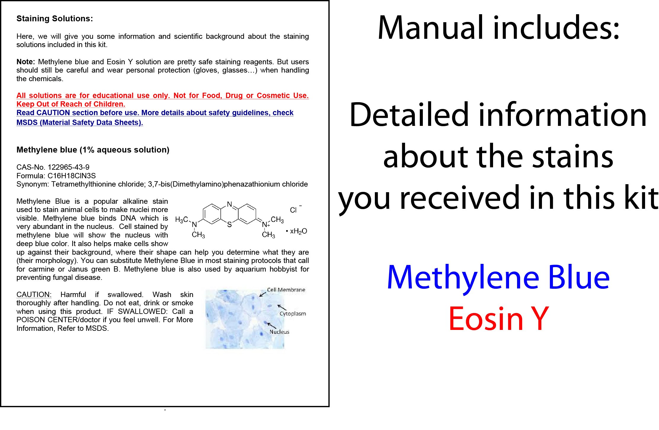 30 ML (1 oz) Methylene Blue and Eosin Y Solutions in Amber Glass Dropper Bottles (for Microscopy)