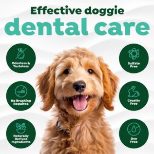 TropiClean Fresh Breath Advanced Whitening with 3D MICROGUARD | Dog Breath Water Additive | Dental Care | Dog Breath Freshener | Simple Pet Teeth Cleaning | Made in USA | 16 oz