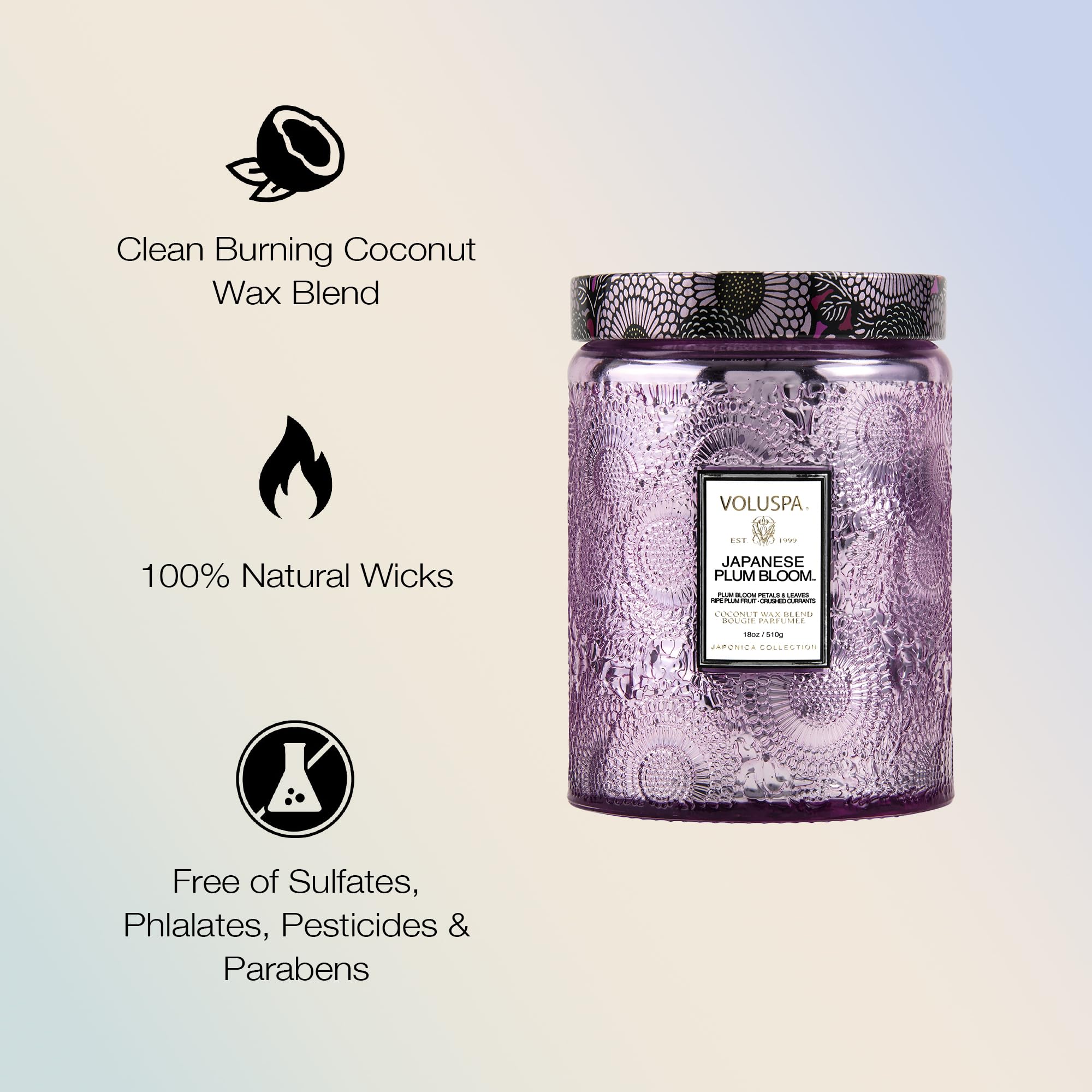 Voluspa Japanese Plum Bloom, Large Candle Jar, 18 oz, 100 Hour Burn Time, All Natural Wicks and Coconut Wax for Clean Burning, Vegan, Poured in the USA