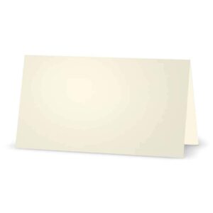 ivory place cards - flat or tent style - 10 or 50 pack - solid color placement table name dinner seat - stationery party supplies - any occasion event or holiday (10, tent style)