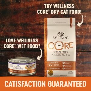 Wellness CORE Grain-Free Signature Selects Wet Cat Food, Natural Pet Food Made with Real Meat (Shredded Chicken & Beef Entrée, 2.8 Ounces) (Pack of 12)