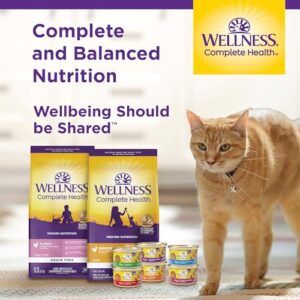 Wellness Natural Pet Food Complete Health Natural Grain Free Salmon & Herring Indoor Dry Cat Food, 11.5 Pound Bag