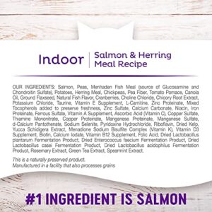 Wellness Natural Pet Food Complete Health Natural Grain Free Salmon & Herring Indoor Dry Cat Food, 11.5 Pound Bag