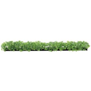 dalebrook green luxury parsley divider with black base - 19 1/2"l x 2 1/8"h